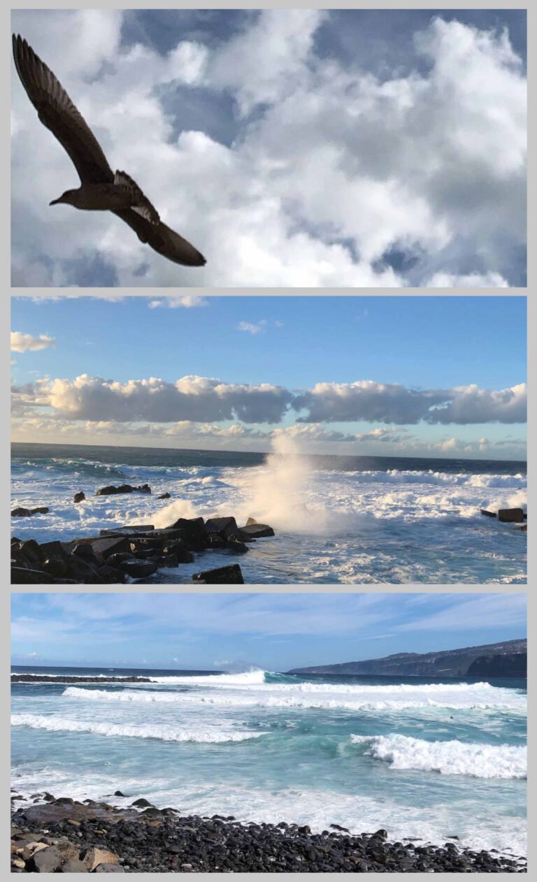 Positivity poems to uplift and inspire